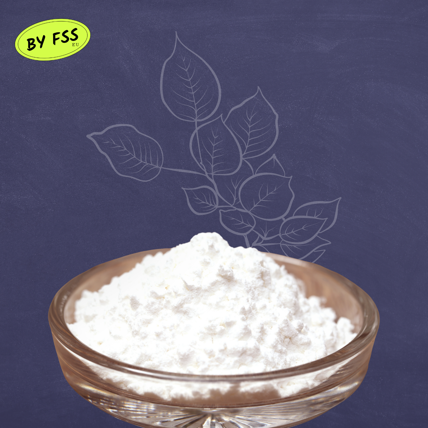 FSS PhytoCide Aspen Bark Extract Powder - Natural Antimicrobial & Skin ...