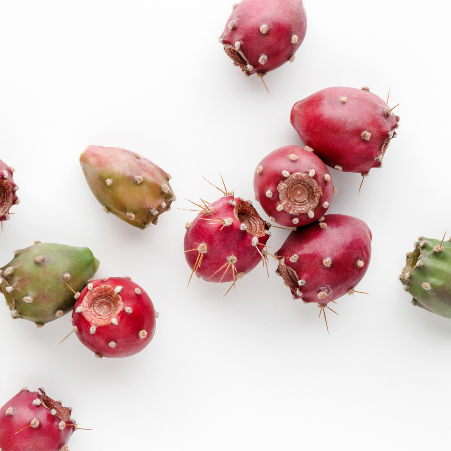 FSS Prickly Pear Extract G PF – Hydrating, Detoxifying, and Protective ...